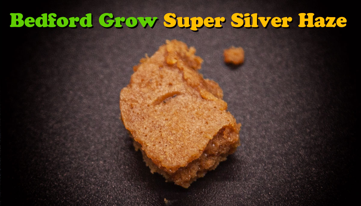 Bedford Grow Super Silver Haze Crumble blends three vintage strains to ...